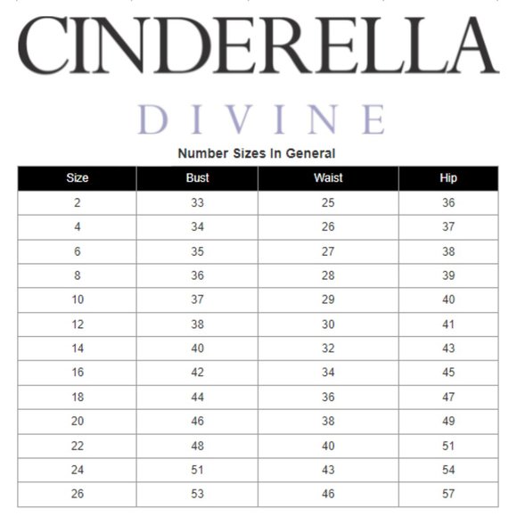 cinderella divine | Dresses | Cinderella Divine Cb69 Floral Print Aline ...